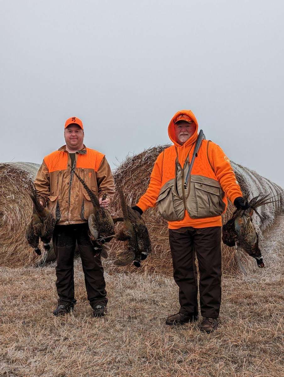 Kansas Pheasant Hunting Guide & Outfitters | Wild Pheasant Hunts